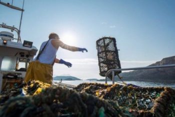 Sustainable fishing - Why is sustainable fishing important? - Keltic ...